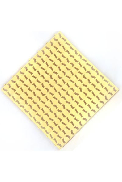 Akçadırcı Plastik 9 Adet Plastik Izgara Ortopedik Geçmeli Paspas