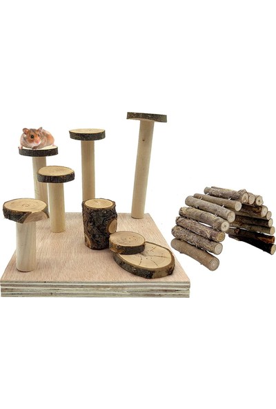 Alyones 2'li Set Hamster Oyun Alanı Bendy Köprü Seti Cüce Hamster Alyones 2'li Set Hamster Oyun Alanı Bendy Köprü Seti Cüce Hamster