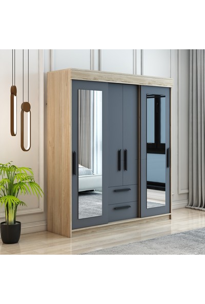 Afilli Izmir Sürgülü Aynalı ve Kapaklı Gardrop Dolap Flora Antrasit Renk