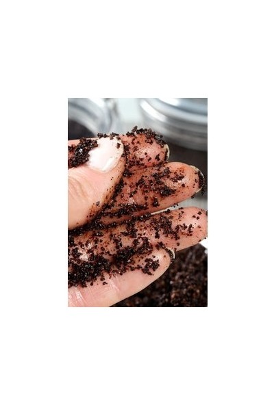 Blush Cacao Coffee Scrub Kahve Vücut Peeling 100 Gr Blush Cacao Coffee Scrub Kahve Vücut Peeling 100 Gr