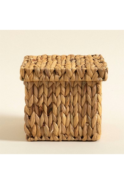 Chakra Jennai Kutu S Natural Chakra Jennai Kutu S Natural