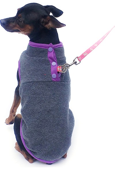 Hansior Köpek Giysileri Yelek Ceket Kazak Gömlek Kostüm (Yurt Dışından)