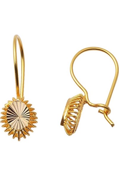 Sarkıt 14 Ayar Altın Küpe