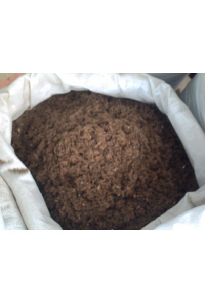 Can Pamuk Küspesi Can Pamuk Küspesi