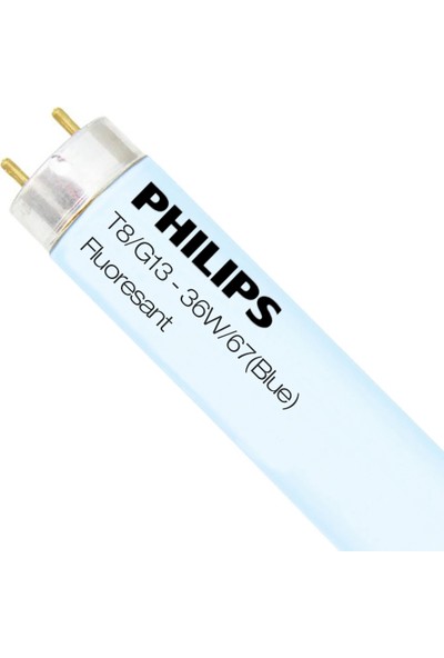 Philips 36W Mavi T8 G13 Floresan Ampul Philips 36W Mavi T8 G13 Floresan Ampul