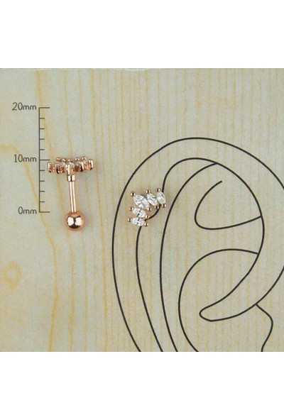 Family Store Zirkon Tiara Rose Kıkırdak Piercing Family Store Zirkon Tiara Rose Kıkırdak Piercing