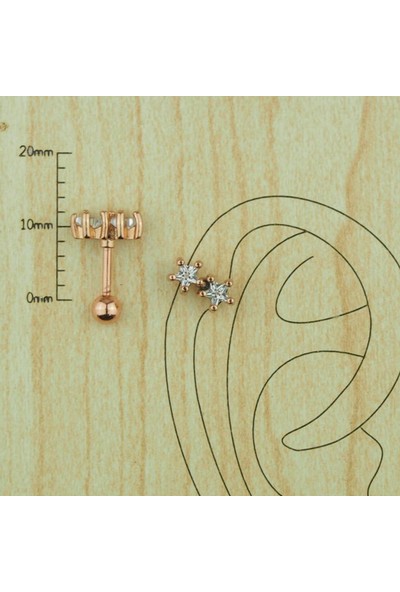 Family Store Zirkon Fiyonk x Rose Kıkırdak Piercing Family Store Zirkon Fiyonk x Rose Kıkırdak Piercing