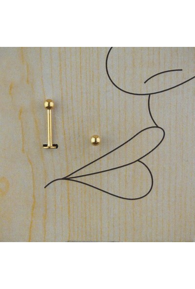Family Store 10MM Gold Dudak Piercing (Top:3mm) Family Store 10MM Gold Dudak Piercing (Top:3mm)