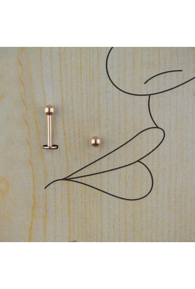 Family Store 8mm Rose Dudak Piercing (Top:3mm) Family Store 8mm Rose Dudak Piercing (Top:3mm)