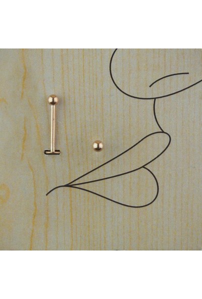 Family Store 12MM Rose Dudak Piercing (Top:3mm) Family Store 12MM Rose Dudak Piercing (Top:3mm)
