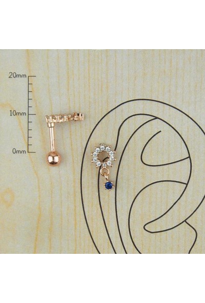 Family Store Cerrahi Çelik Çember Zirkon Tek Taş Rose Kıkırdak Piercing Family Store Cerrahi Çelik Çember Zirkon Tek Taş Rose Kıkırdak Piercing