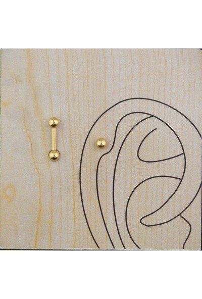 Family Store 6mm Cerrahi Çelik Gold Kıkırdak Piercing Family Store 6mm Cerrahi Çelik Gold Kıkırdak Piercing