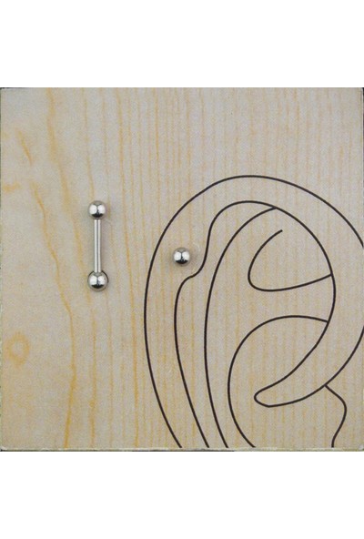 Family Store 8mm Cerrahi Çelik Kıkırdak Piercing Family Store 8mm Cerrahi Çelik Kıkırdak Piercing