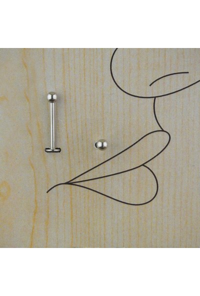 Family Store 12MM Çelik Dudak Piercing (Top:3mm) Family Store 12MM Çelik Dudak Piercing (Top:3mm)