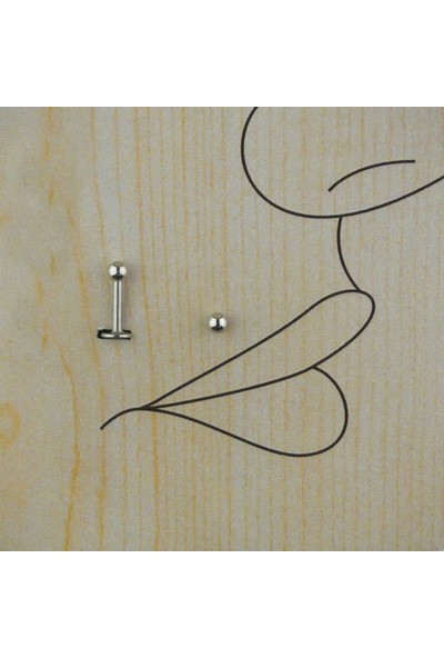 Family Store 6mm Çelik Dudak Piercing (Top:2,5mm)