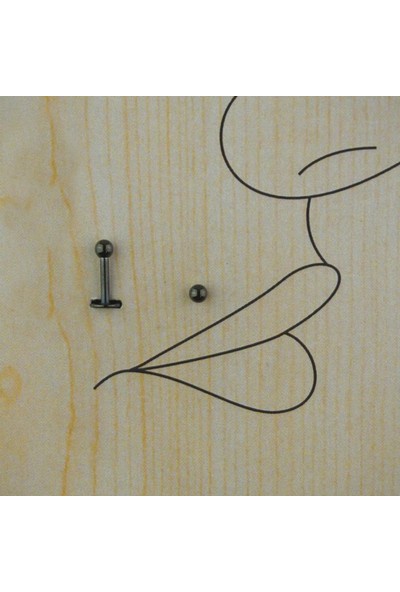 Family Store 6mm Çelik Siyah Dudak Piercing (Top:2,5mm) Family Store 6mm Çelik Siyah Dudak Piercing (Top:2,5mm)