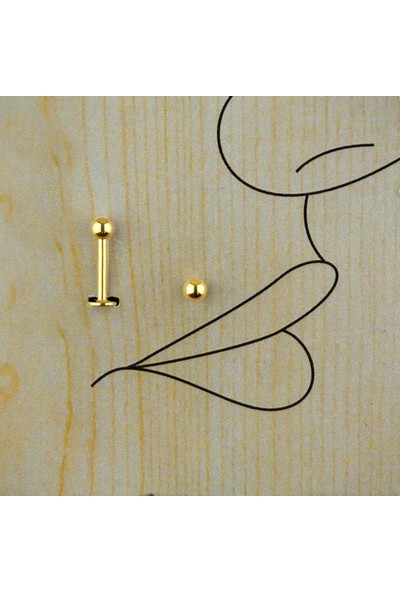 Family Store 8mm Altın Dudak Piercing (Top:3mm) Family Store 8mm Altın Dudak Piercing (Top:3mm)