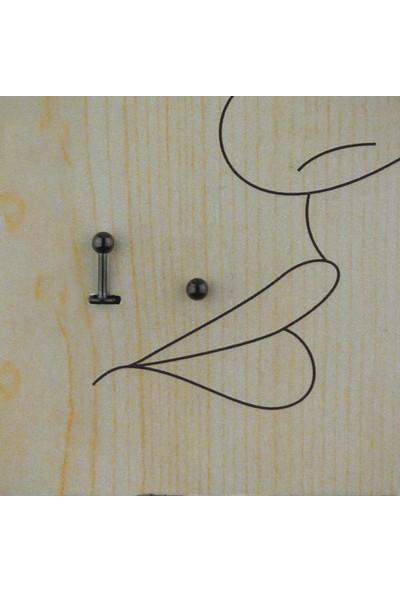 Family Store 6mm Çelik Siyah Dudak Piercing (Top:3mm) Family Store 6mm Çelik Siyah Dudak Piercing (Top:3mm)