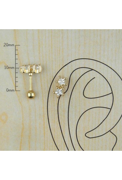 Family Store Zirkon Fiyonk x Gold Kıkırdak Piercing Family Store Zirkon Fiyonk x Gold Kıkırdak Piercing