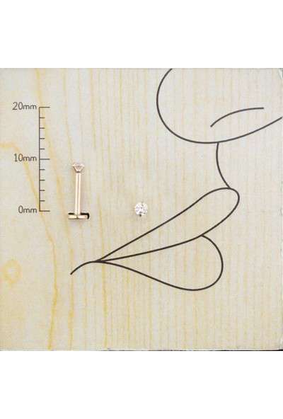 Family Store 2,5mm Zirkon Taşlı Cerrahi Çelik Dudak Piercing Family Store 2,5mm Zirkon Taşlı Cerrahi Çelik Dudak Piercing