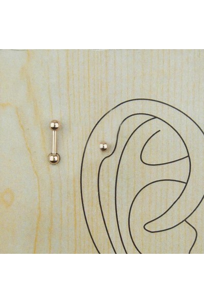 Family Store 6mm Cerrahi Çelik Rose Kıkırdak Piercing Family Store 6mm Cerrahi Çelik Rose Kıkırdak Piercing
