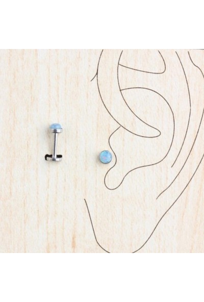 Family Store 3mm Disk Mavi Sedef Cerrahi Çelik Tragus Piercing Family Store 3mm Disk Mavi Sedef Cerrahi Çelik Tragus Piercing