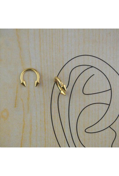 Family Store 6mm Cerrahi Çelik Gold Halka Piercing (Spayk:2,5mm) Family Store 6mm Cerrahi Çelik Gold Halka Piercing (Spayk:2,5mm)
