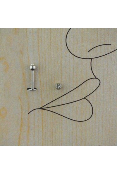 Family Store 8mm Çelik Tek Taşlı Dudak Piercing (Kristal Taş)