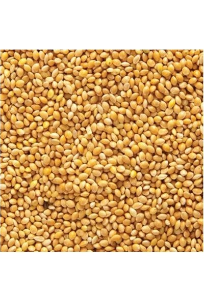 Gür Muhabbet Kuş Yemi Sarı Darı 25 Kg.