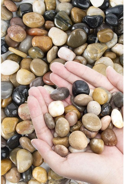 1 kg Doğal Dekoratif Cilalı Karışık Çakıl - Çakıl Cilalı Çakıl