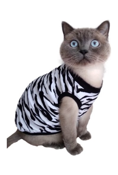 Zebra Desenli Kedi Köpek Kıyafeti Elbisesi