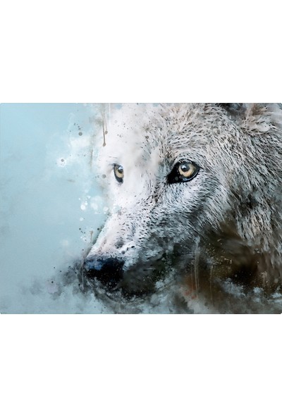 Decobulvar DCCA428 - Beyaz Kurt Kanvas Tablo Decobulvar DCCA428 - Beyaz Kurt Kanvas Tablo