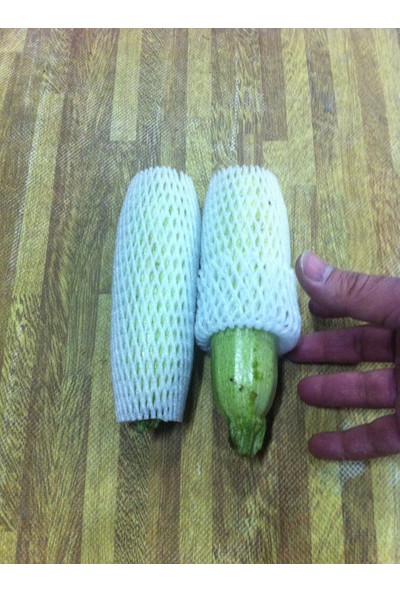 Biowent Meyve Koruma Filesi - Köpük File 25 Adet Biowent Meyve Koruma Filesi - Köpük File 25 Adet