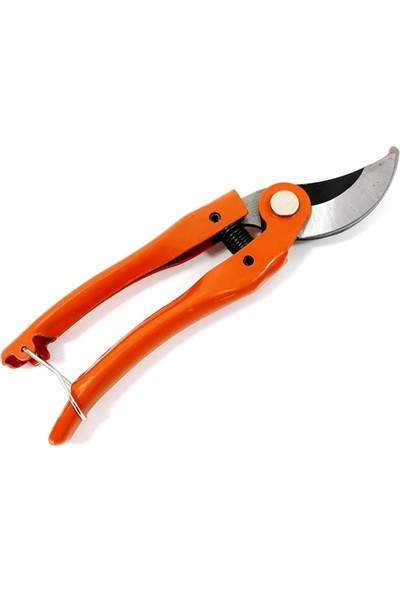 Homecare Budama Makası 423239