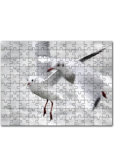Cakapuzzle Iki Martı Yakın Çekim Flu Deniz Arkaplan 255 Parça Puzzle Yapboz Mdf (Ahşap) Cakapuzzle Iki Martı Yakın Çekim Flu Deniz Arkaplan 255 Parça Puzzle Yapboz Mdf (Ahşap)