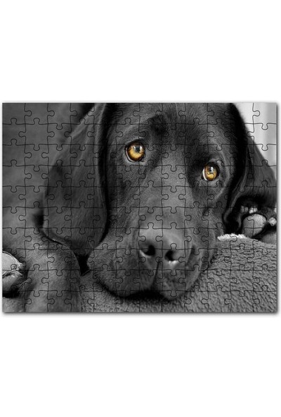 Cakapuzzle Kara Labrador, Üzgün Köpek 1000 Parça Puzzle Yapboz Mdf (Ahşap) Cakapuzzle Kara Labrador, Üzgün Köpek 1000 Parça Puzzle Yapboz Mdf (Ahşap)