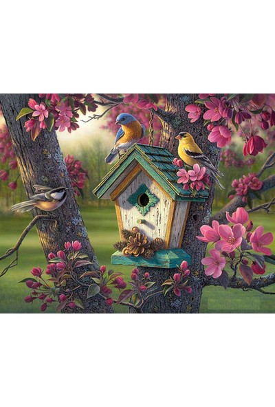 Hobi Tedarik Kuş Ev Çerçeveli 40X50 Sayılarla Boyama Hobi Seti Hobi Tedarik Kuş Ev Çerçeveli 40X50 Sayılarla Boyama Hobi Seti