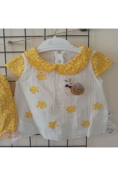 Papatya Salyangoz Takım