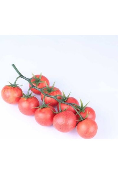 Euro Flora Dekoratif Yapay Domates Salkım 20 cm