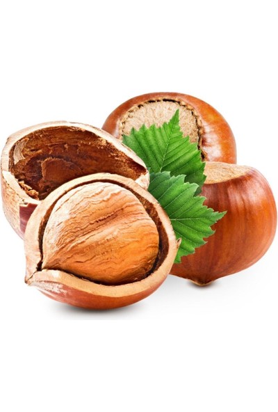 Tüplü Fındık Fidanı Çakıldak 5 Yaş