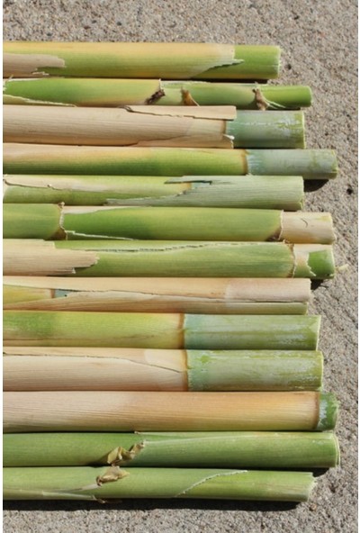 Alyones 5'li 100CM Organik Bambu Çubuklar, Kazık Direk, Çiçek Bahçe Malzemeleri Dekor Alyones 5'li 100CM Organik Bambu Çubuklar, Kazık Direk, Çiçek Bahçe Malzemeleri Dekor