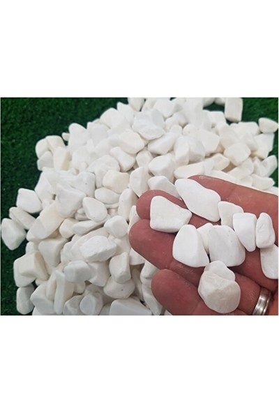 Alyones Beyaz Dolomit Taş 5 kg 1,5-2,5 cm Bahçe Taşı Dekoratif Taş Dere Taşı Alyones Beyaz Dolomit Taş 5 kg 1,5-2,5 cm Bahçe Taşı Dekoratif Taş Dere Taşı