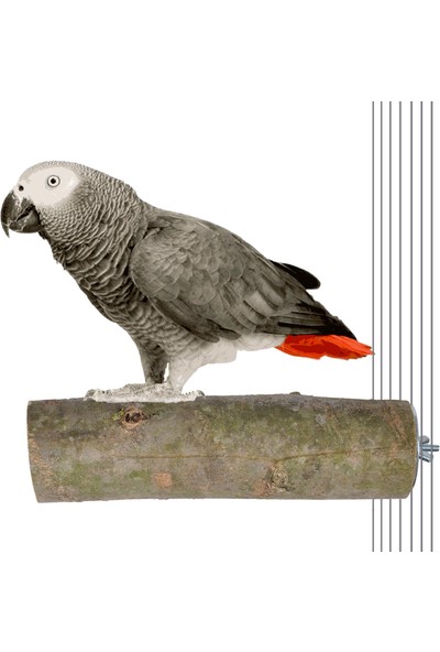 X-Perk Ağaç Kütük Papağan Kuş Tüneği Boy 17 cm Çap 5 cm X-Perk Ağaç Kütük Papağan Kuş Tüneği Boy 17 cm Çap 5 cm