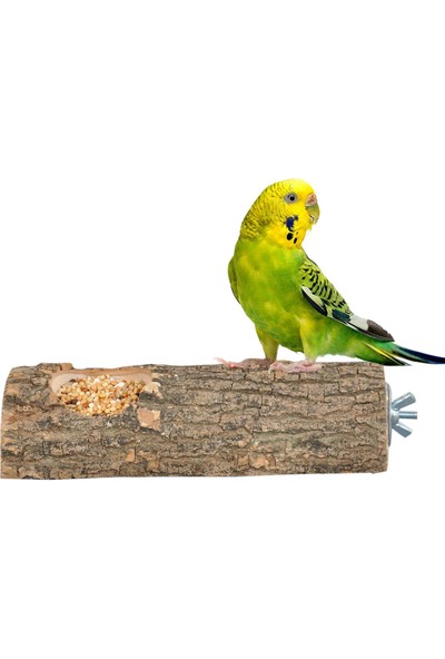 X-Perk Doğal Ağaç Kuş Tüneği ve Yemlik Kütük Tünek Uzunluk 15 cm