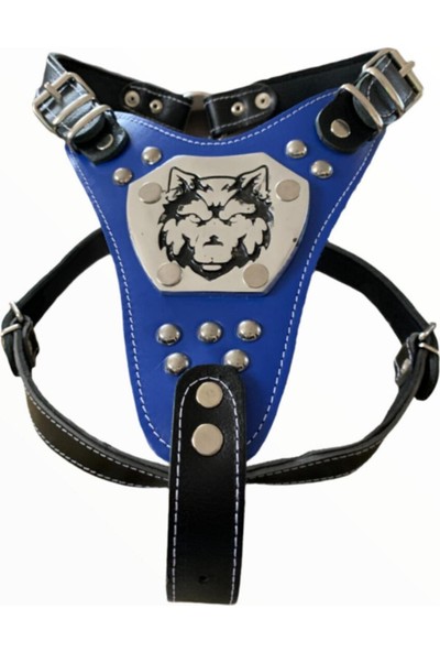 Mutlu Tavukçuluk Gladyatör Mavi Deri Köpek Tasması Göğüs Tasması Büyük Boy Kangal Malaklı Tasması