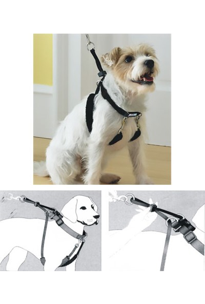 Pawise Dog Training M (1"X16-24") Eğitim Tasması