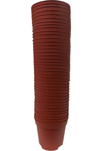 Ucuzzavm Kaktüs & Sukulent Üretim Saksı 8 cm 50 Adet Ucuzzavm Kaktüs & Sukulent Üretim Saksı 8 cm 50 Adet