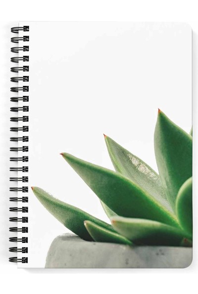 Rowalsi Doğa Baskılı Ahşap Kapaklı Defter 15X20 cm DFT3022