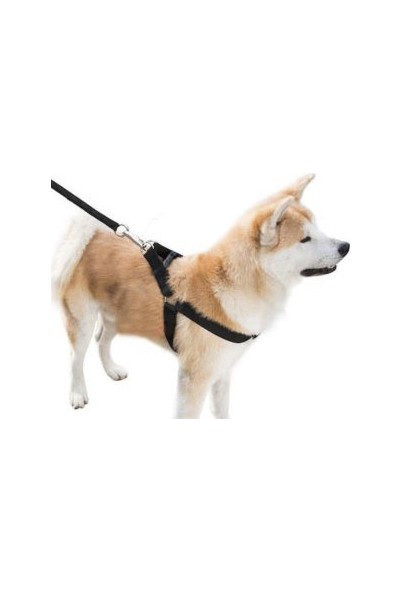 By Pet Köpek Tasması Soft Tabanlı Güvenli ve Konforlu Köpek Göğüs Tasması Seti