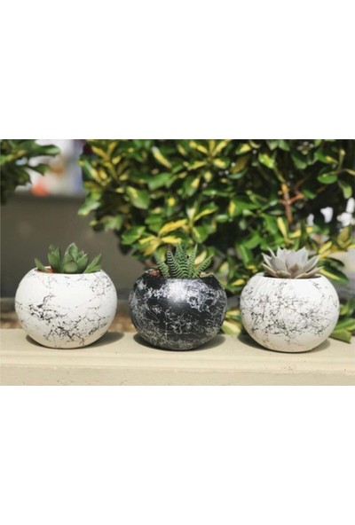 Gilbeys Yuvarlak Model Mermer Efektli Sukulent Saksısı 3'lü Gilbeys Yuvarlak Model Mermer Efektli Sukulent Saksısı 3'lü